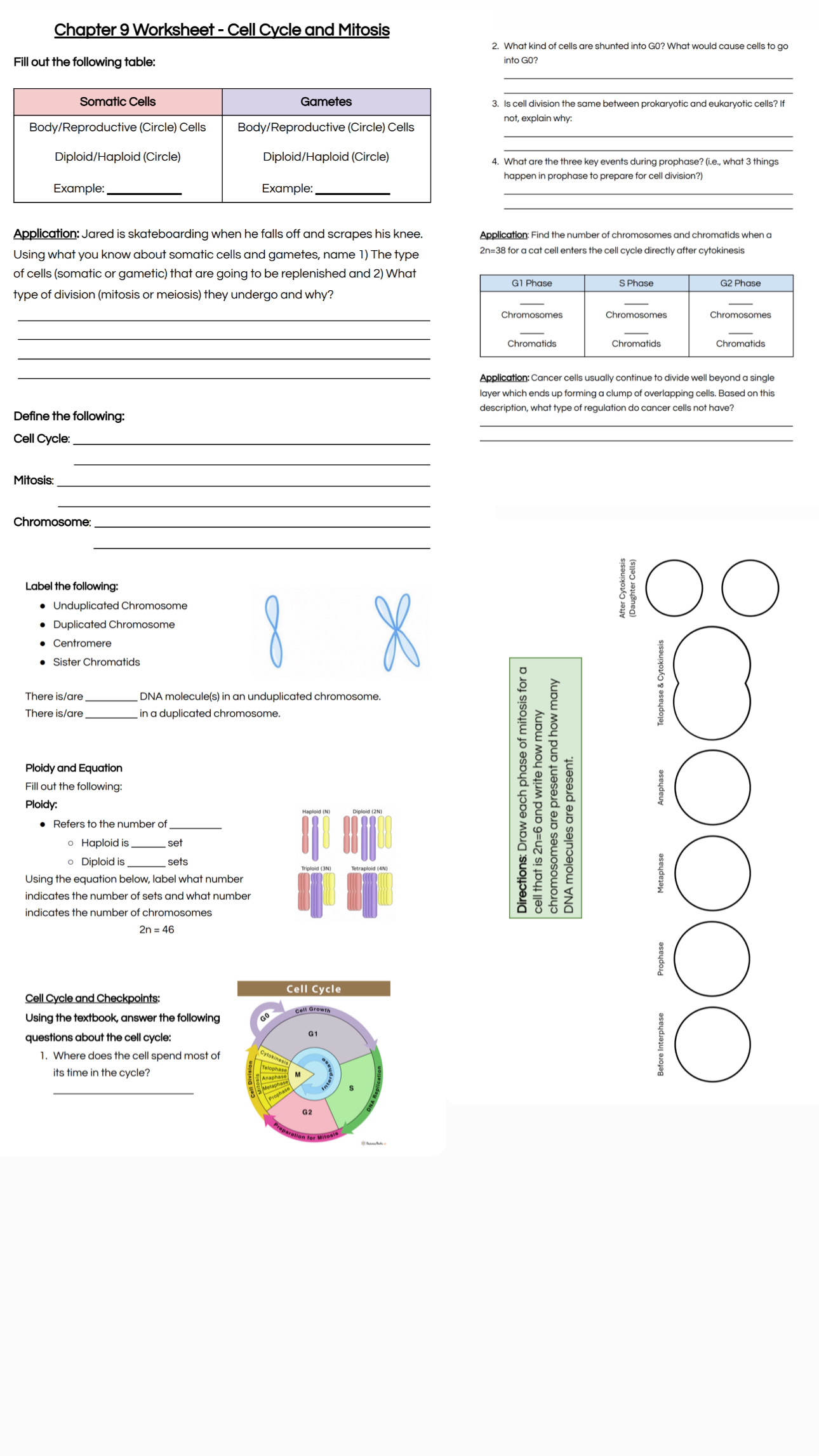 Solved Chapter 9 Worksheet - Cell Cycle and MitosisFill | Chegg.com Solved Chapter 9 Worksheet - Cell Cycle and MitosisFill | Chegg.com