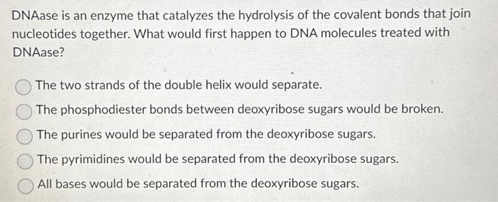 Solved DNAase is an enzyme that catalyzes the hydrolysis of | Chegg.com