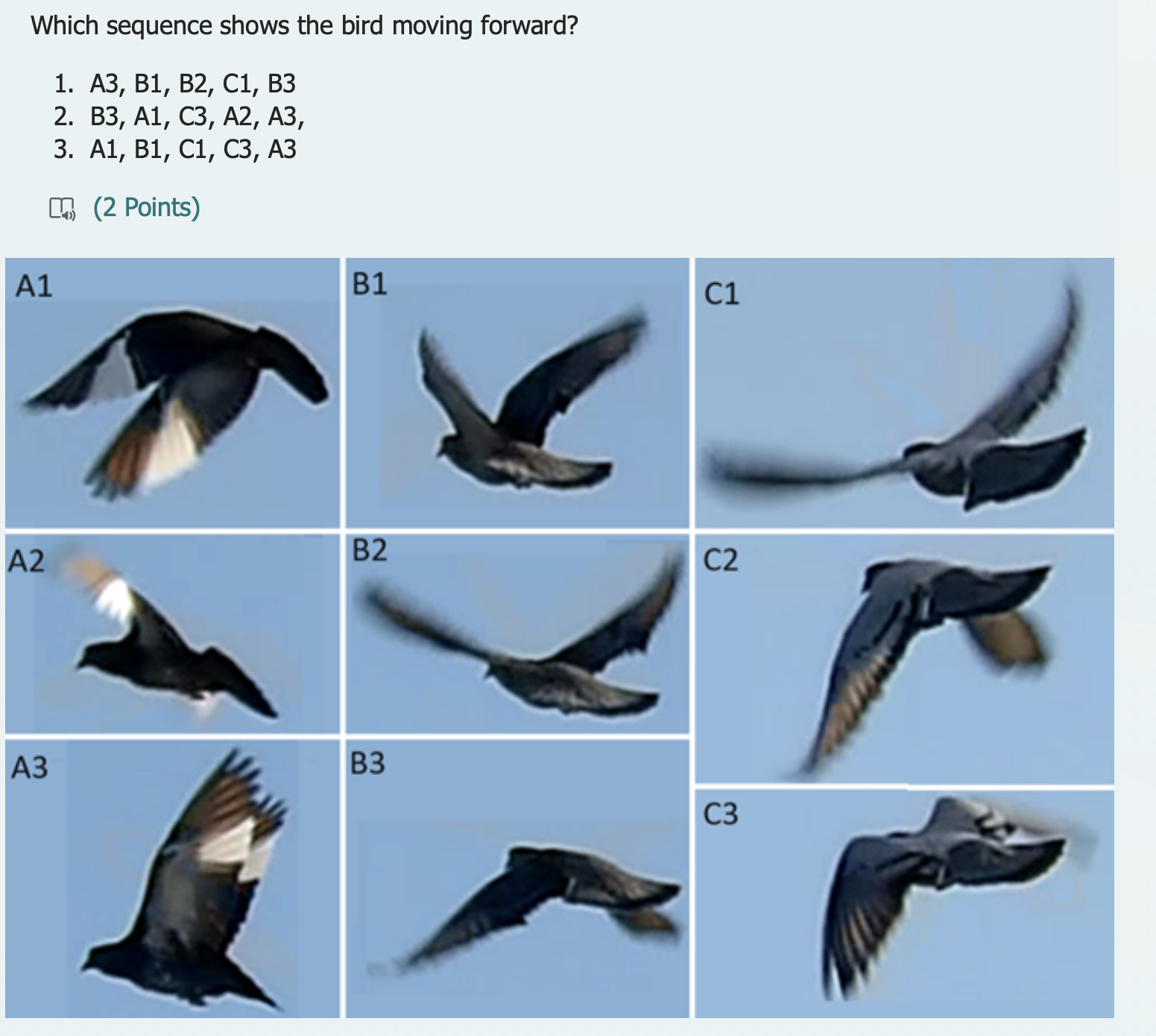 Solved Answer ASAP Which sequence shows the bird moving | Chegg.com