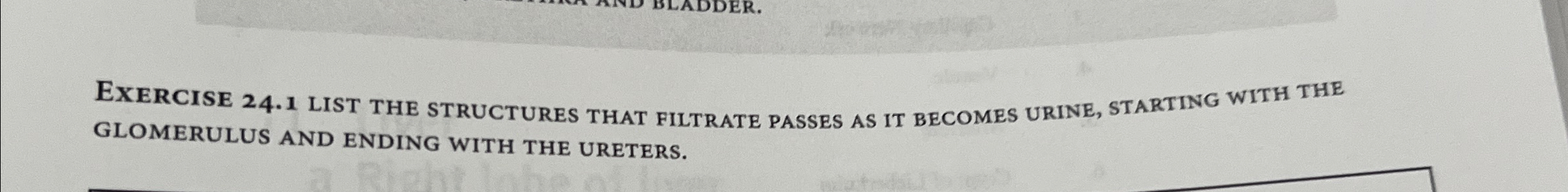Solved EXERCISE 24.1 ﻿LIST THE STRUCTURES THAT FILTRATE | Chegg.com