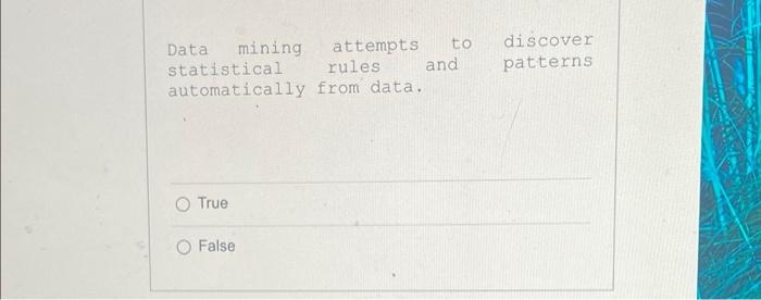 Solved Data mining attempts rules statistical automatically | Chegg.com