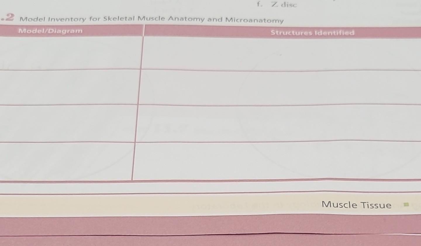 2 Model Inventory for Skeletal Muscle Anatomy and | Chegg.com