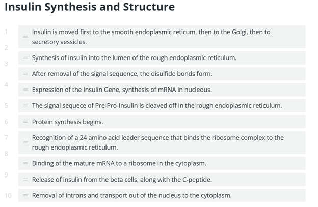 Solved Insulin Synthesis and Structure```Insulin is moved | Chegg.com