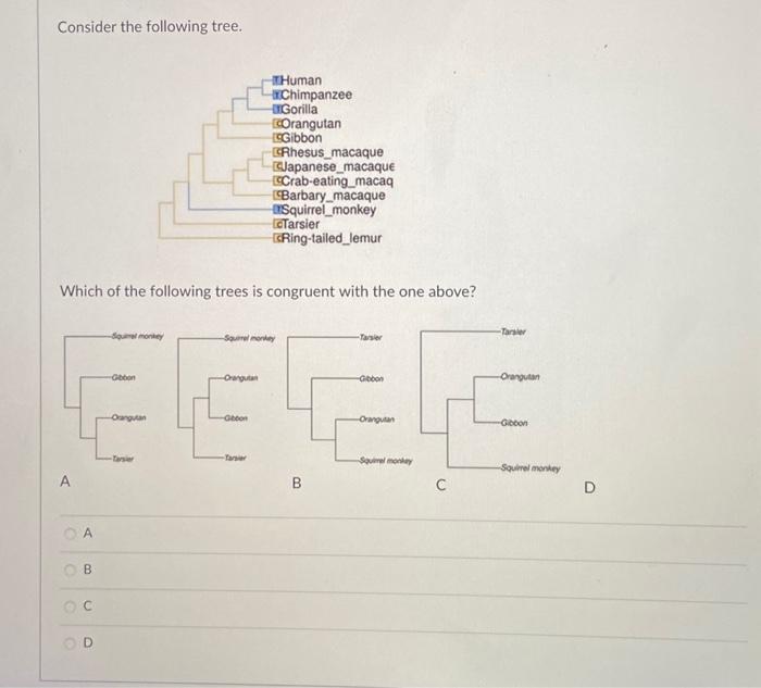 Solved Consider the following tree. Which of the following | Chegg.com