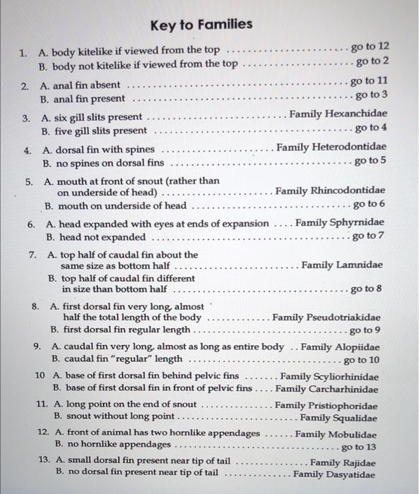 Solved Use the below dichotomous key and the file: Name | Chegg.com