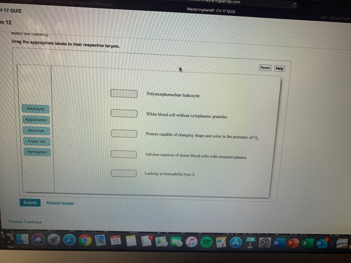 Solved Mastering andP: CH 17 QUIZ 17 QUIZ 12 Mae hwng Drag | Chegg.com