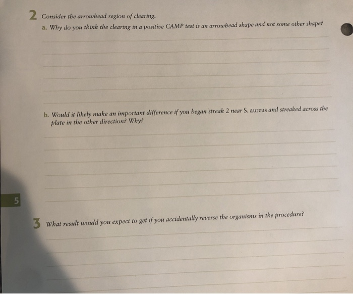 2 Consider the arrowhead region of clearing. a. Why | Chegg.com