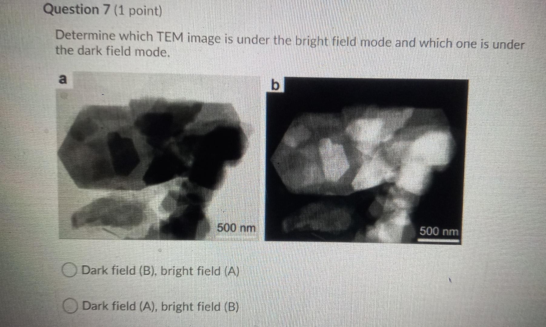 Solved Question 7 (1 point) Determine which TEM image is | Chegg.com