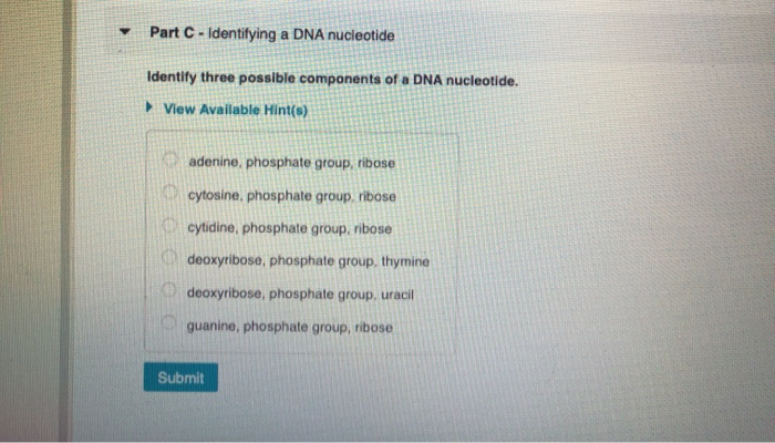 Part A - Components of nucleotides Sort these | Chegg.com