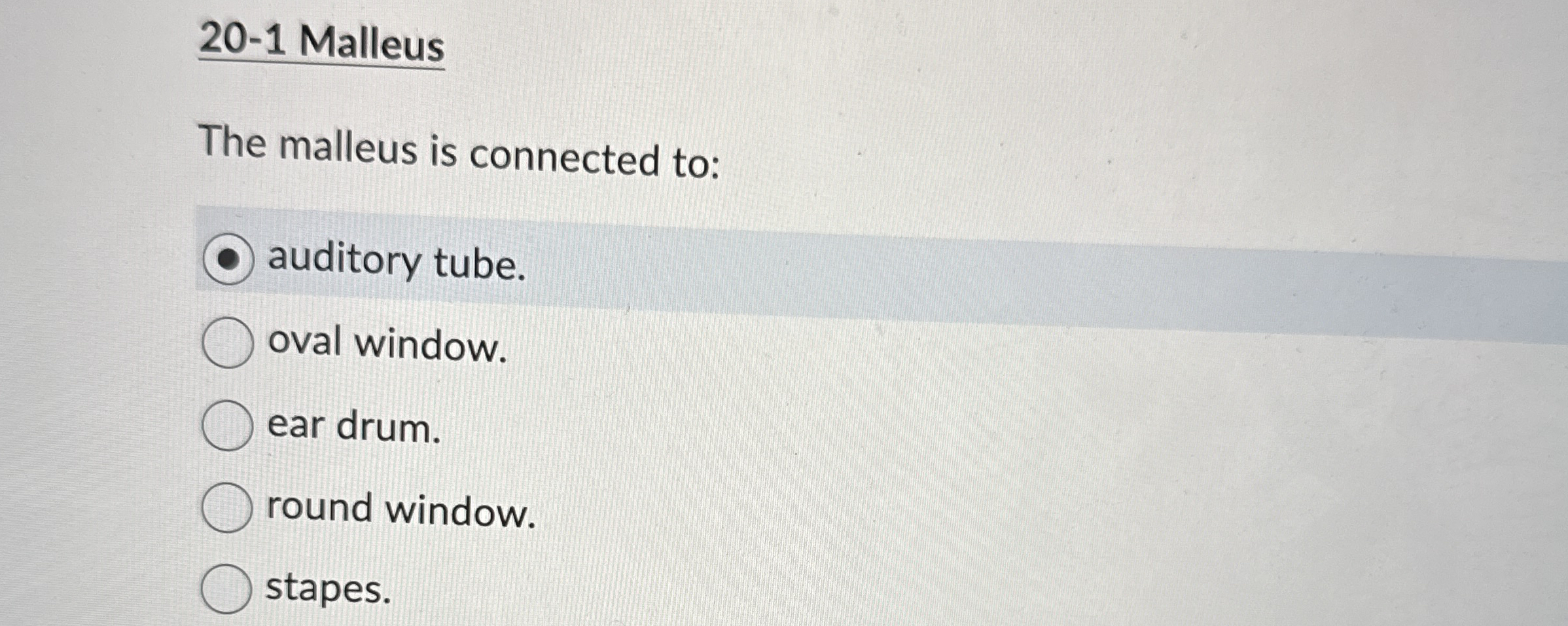 Solved 20-1 ﻿MalleusThe malleus is connected to:auditory | Chegg.com