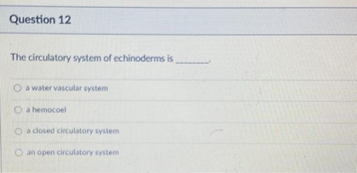 Solved The circulatory system of echinoderms is a water | Chegg.com