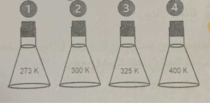 Solved In the following figure, all of these flasks contain | Chegg.com
