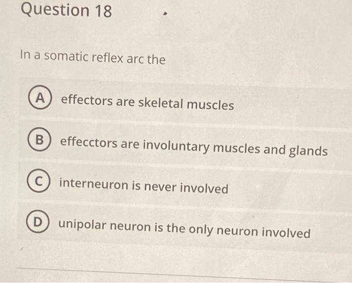 Solved Question 18 In a somatic reflex arc the A) effectors | Chegg.com