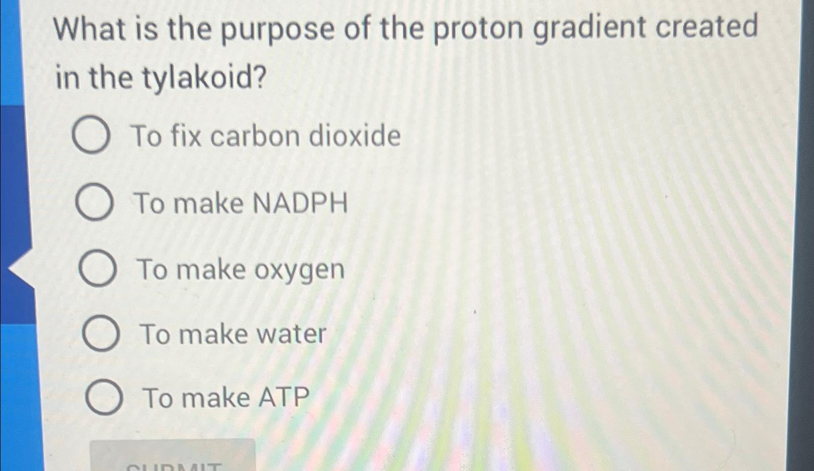 Solved What is the purpose of the proton gradient created in | Chegg.com