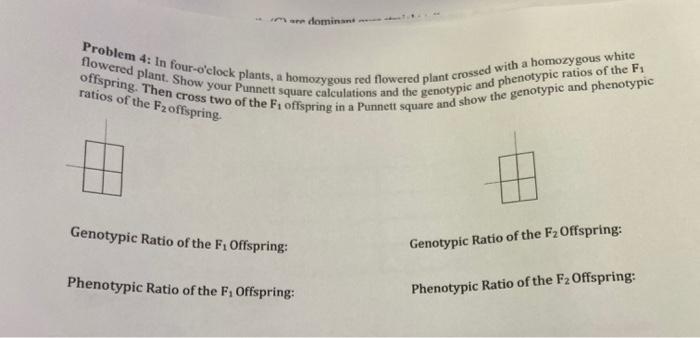 Solved Part III: Incomplete Dominance Incomplete dominance | Chegg.com