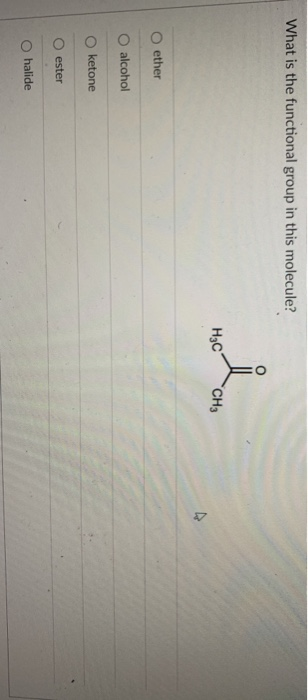 Solved What is the functional group in this molecule? نی H3C | Chegg.com