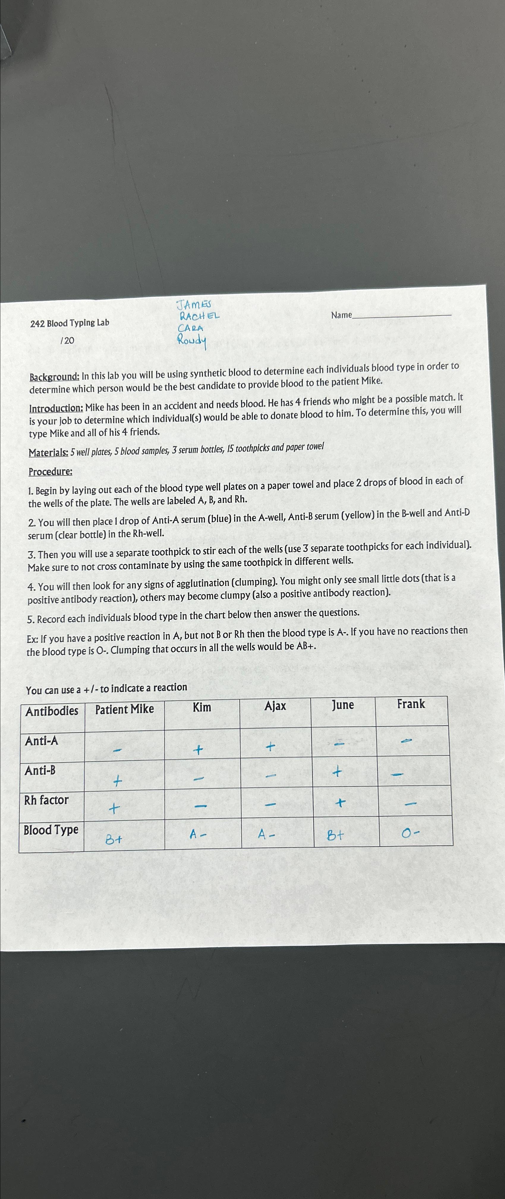 Solved 242 ﻿Blood Typing | Chegg.com
