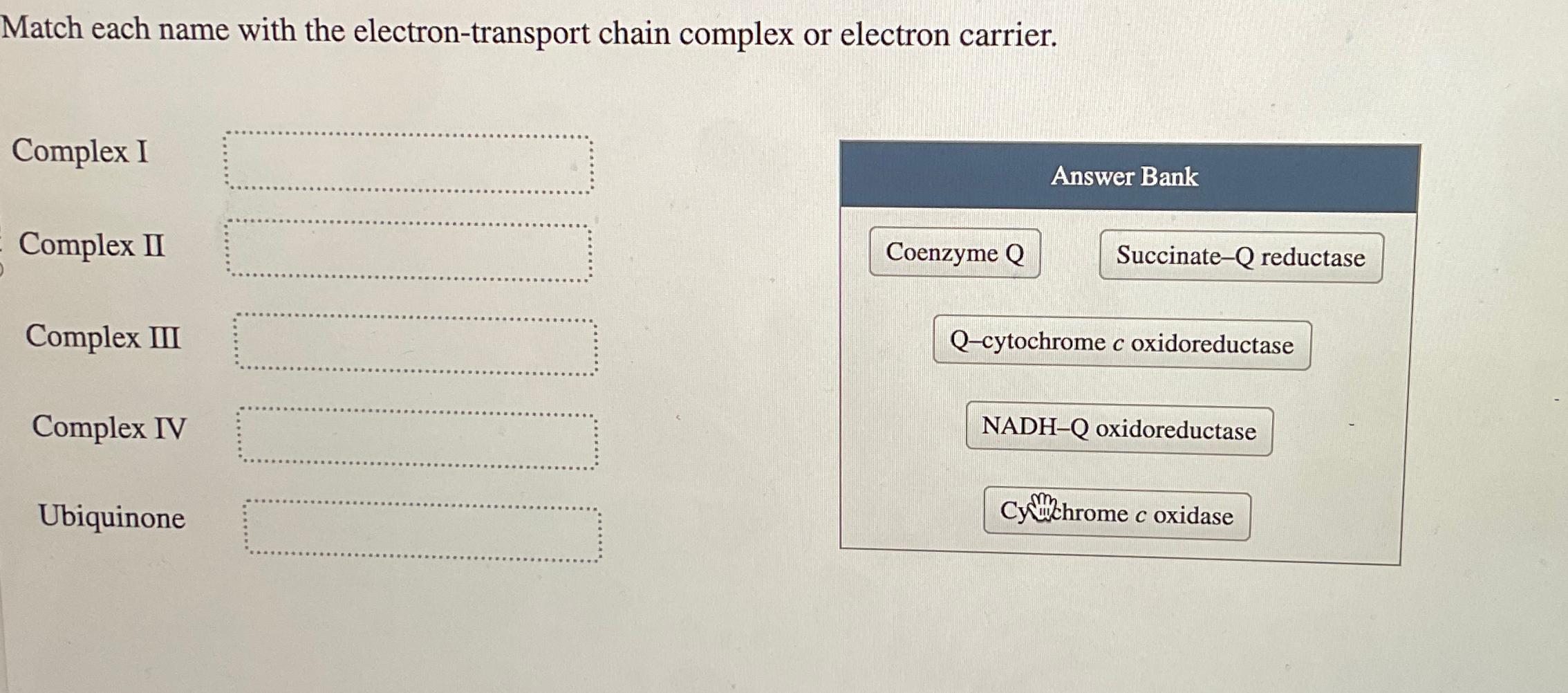 Solved Match each name with the electron-transport chain | Chegg.com