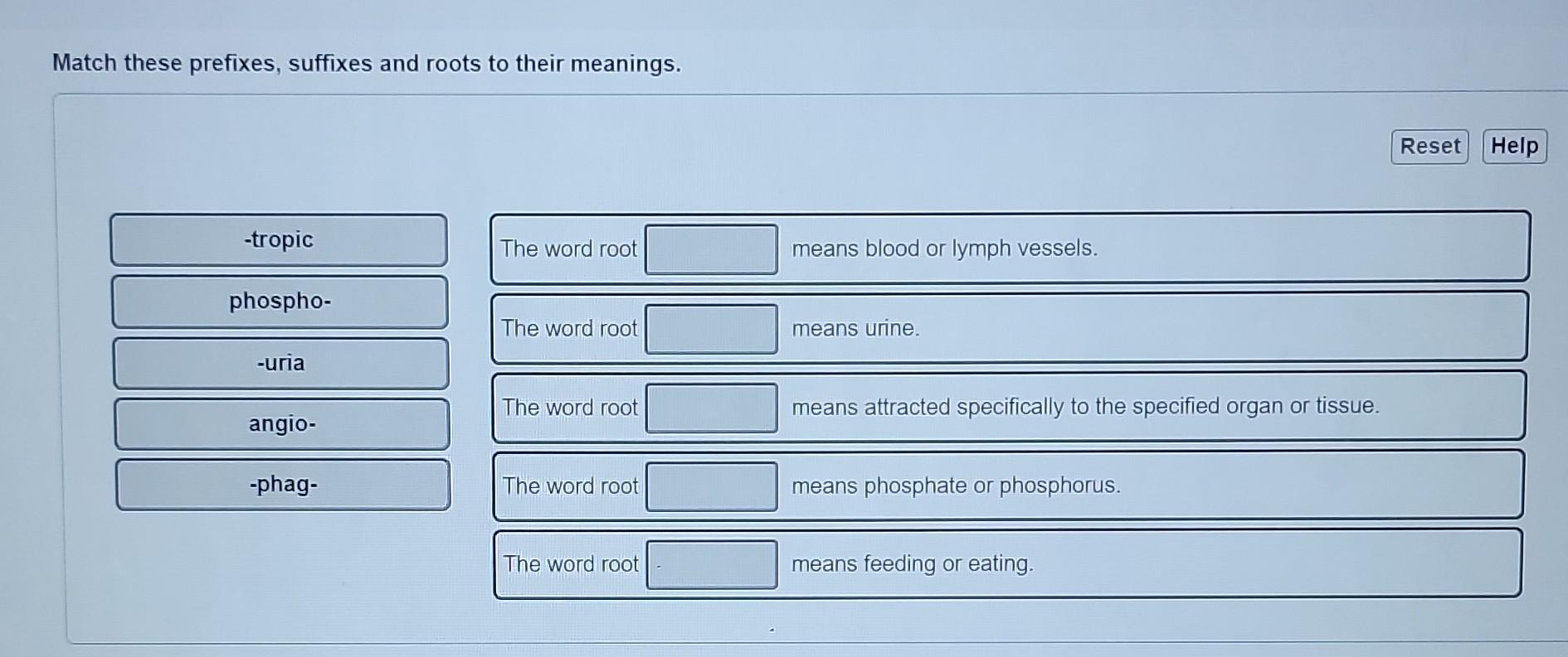 Solved Match the se prefixes, suffixes and roots to their | Chegg.com