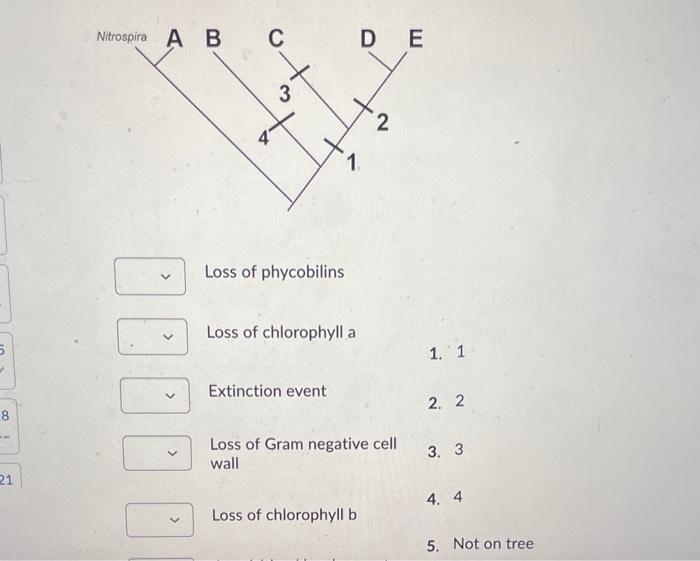 Solved Using a selection of the terms below, label | Chegg.com