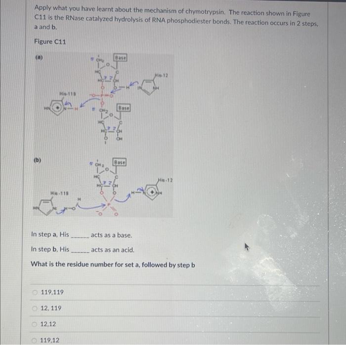 Solved In enzyme catalysis, the proximity effect refers to: | Chegg.com