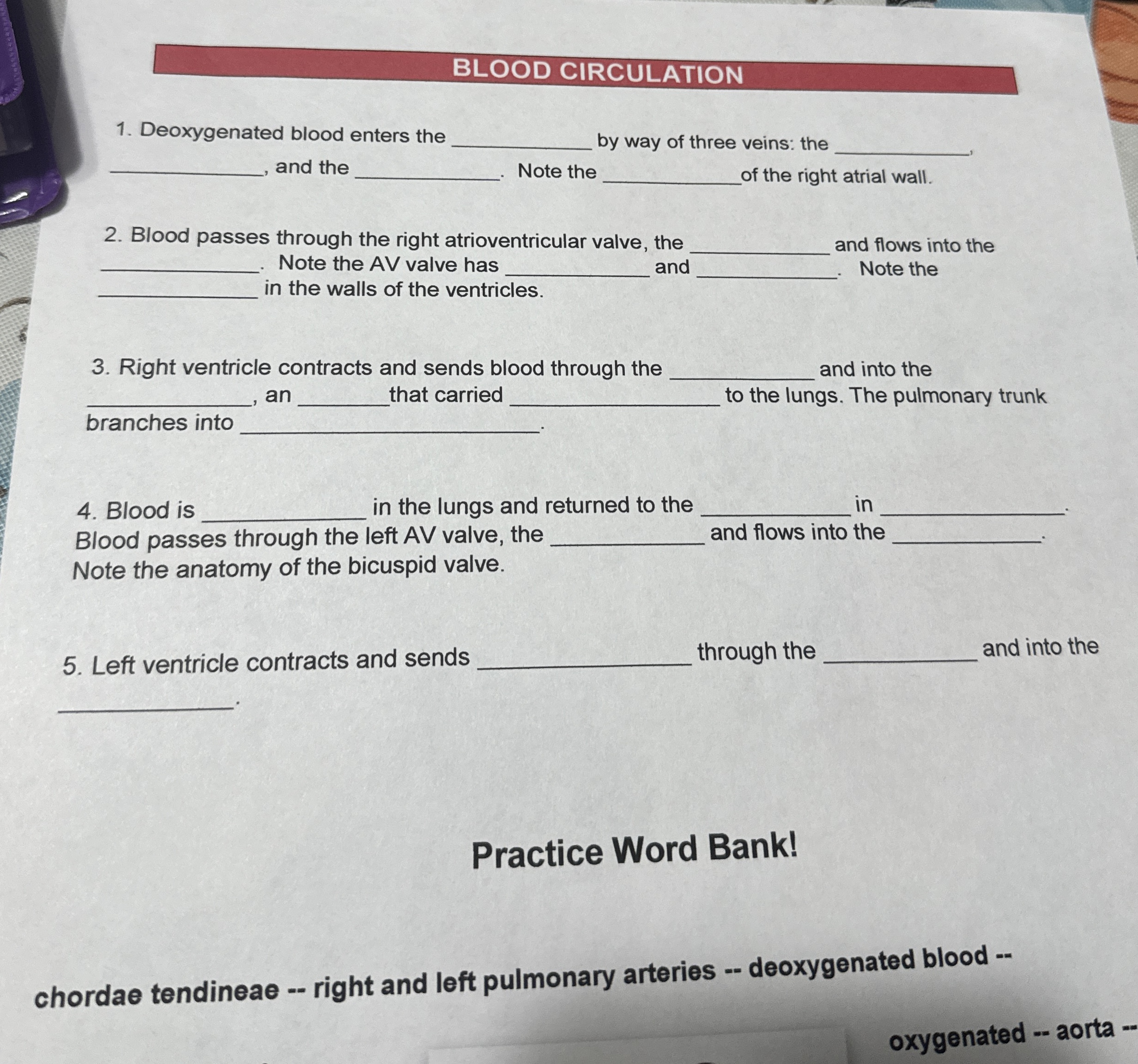 Solved BLOOD CIRCULATIONDeoxygenated blood enters theby way | Chegg.com
