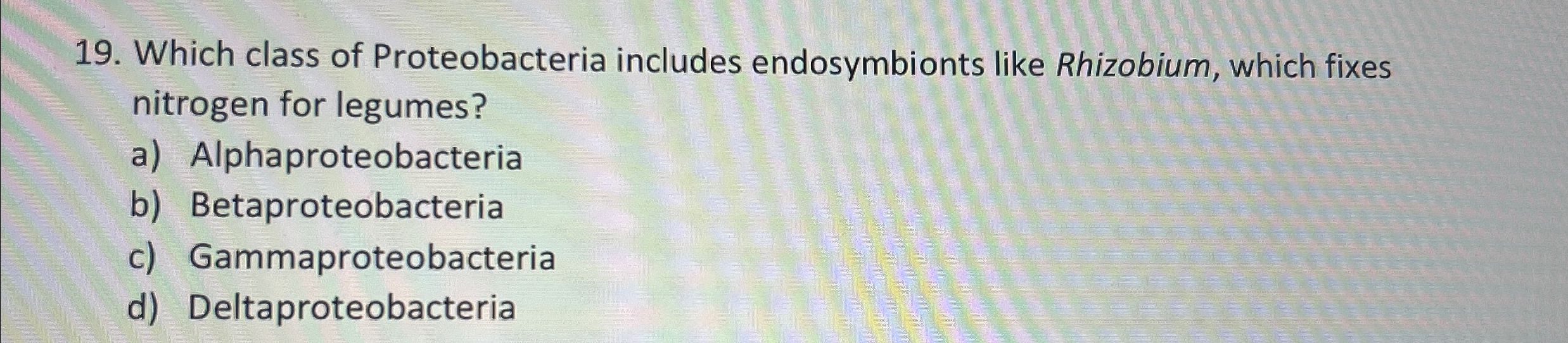 Solved Which class of Proteobacteria includes endosymbionts | Chegg.com