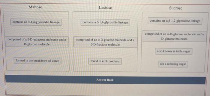Solved Classify each description based on whether it applies | Chegg.com