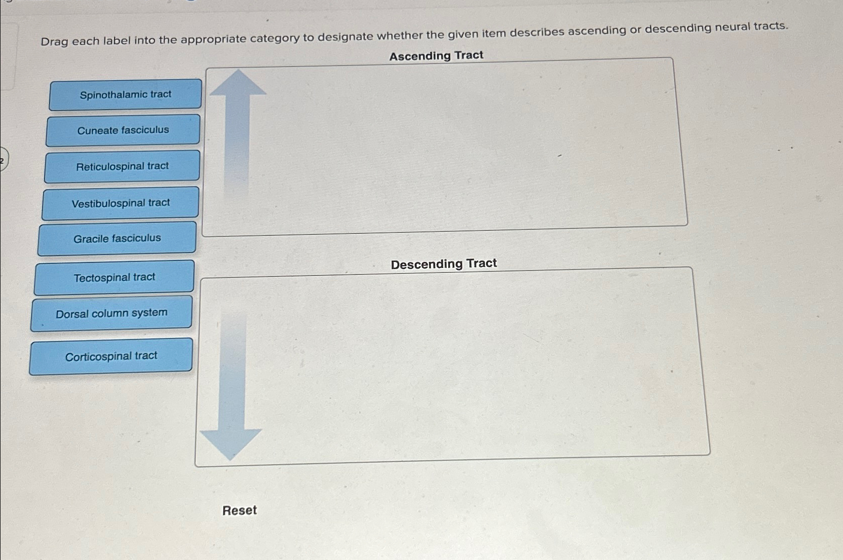Solved Drag each label into the appropriate category to | Chegg.com