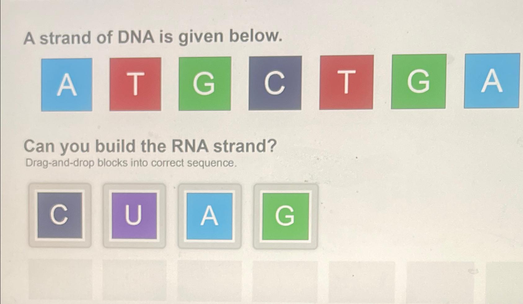 Solved A strand of DNA is given below.Can you build the RNA | Chegg.com