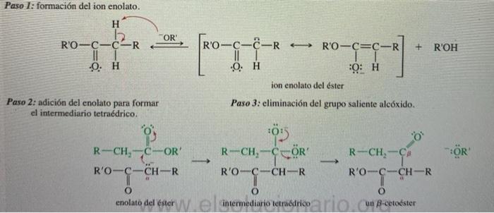 Solved Paso 1: formación del ion enolato. OR' H h RO-C-CR | Chegg.com