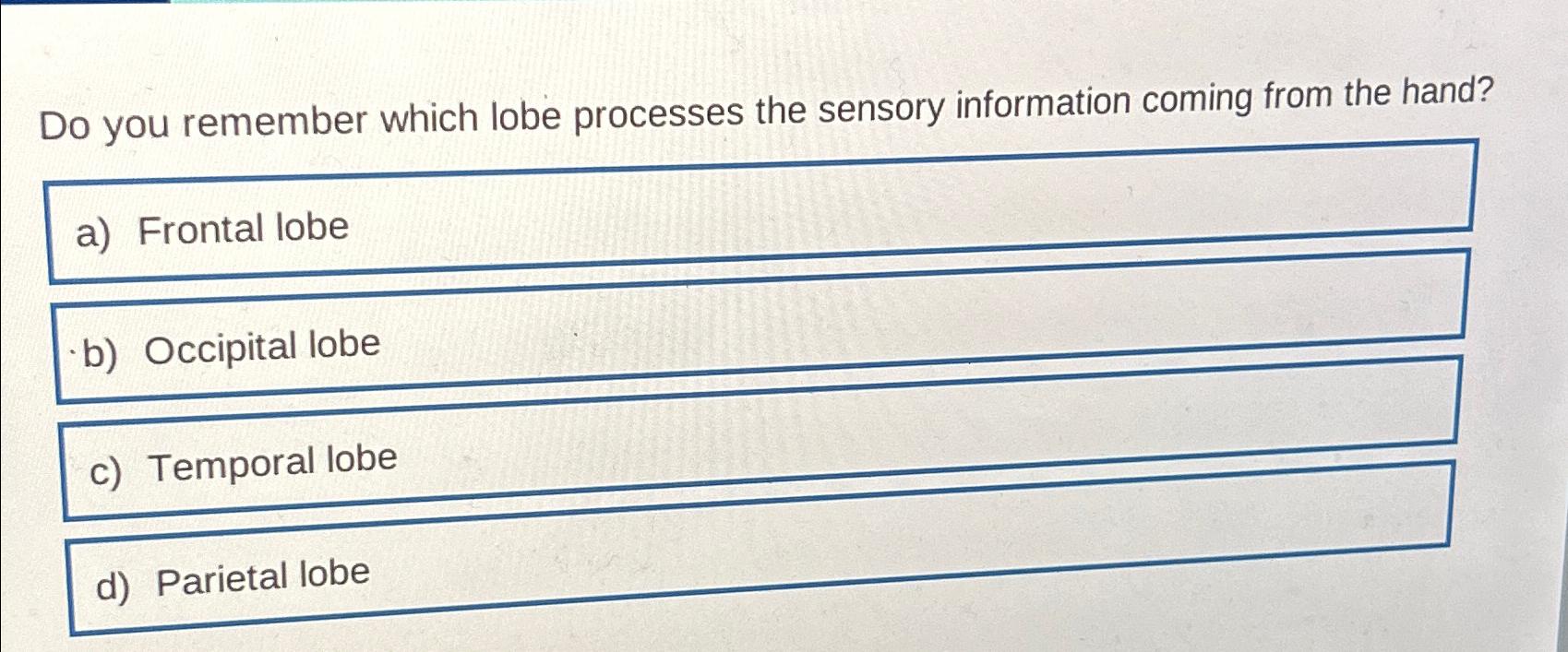 Solved Do you remember which lobe processes the sensory | Chegg.com