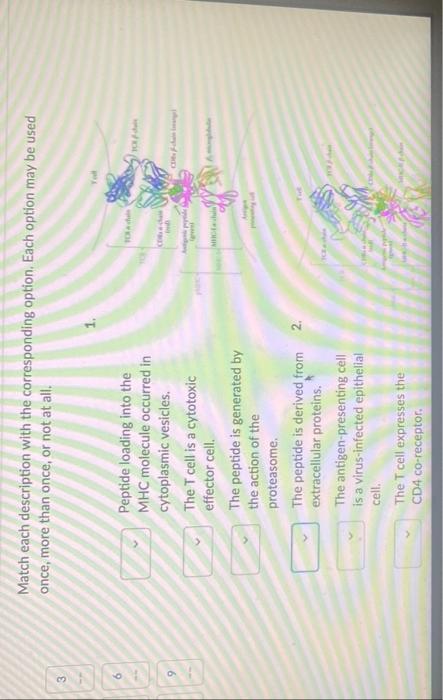 Match each description with the corresponding option. | Chegg.com