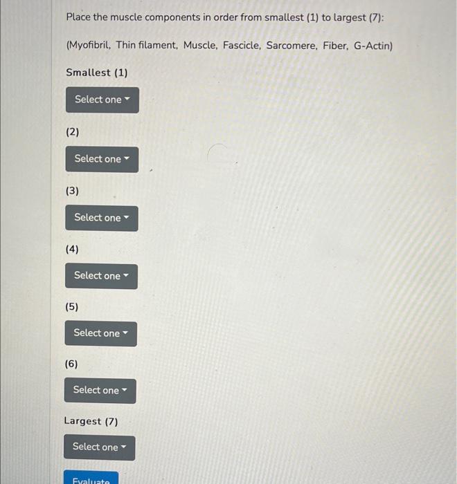 Solved Place the muscle components in order from smallest | Chegg.com