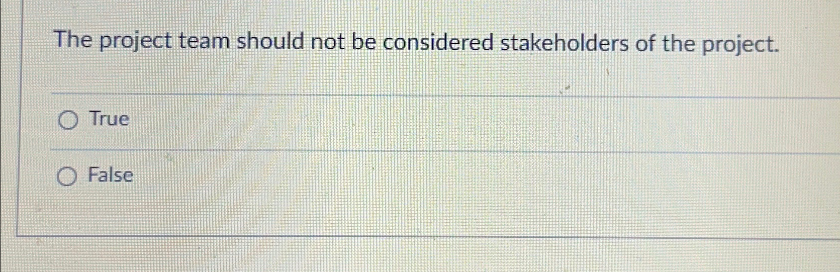 Solved The project team should not be considered | Chegg.com