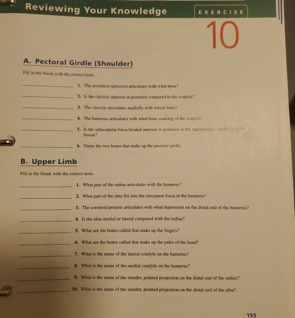 Solved Reviewing Your KnowledgeA. ﻿Pectoral Girdle | Chegg.com