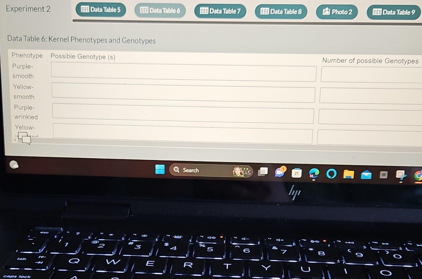 Experiment 2 Data Table 6: Kernel Phenotypes and | Chegg.com