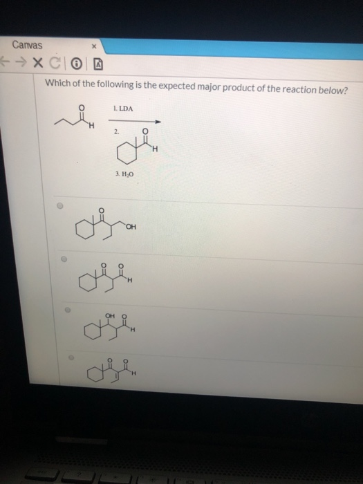 Solved Canvas → XC Question Which of the following molecules | Chegg.com