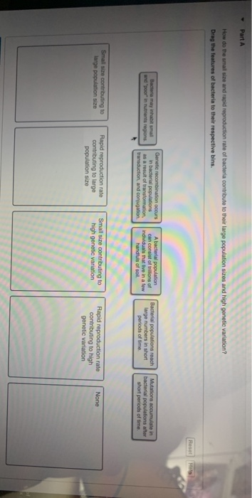 Solved Part A How do the small size and rapid reproduction | Chegg.com