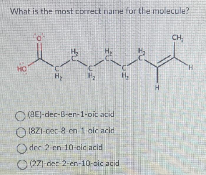 Solved What is the most correct name for the molecule? | Chegg.com