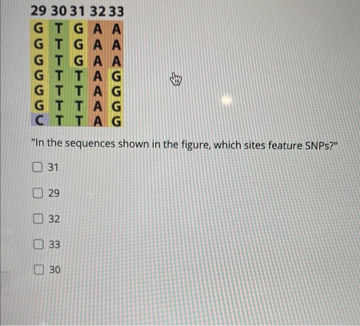 Solved 29 30 31 32 33 GT GAA GT GAA GT GAA GT TAG GT TAG GT | Chegg.com