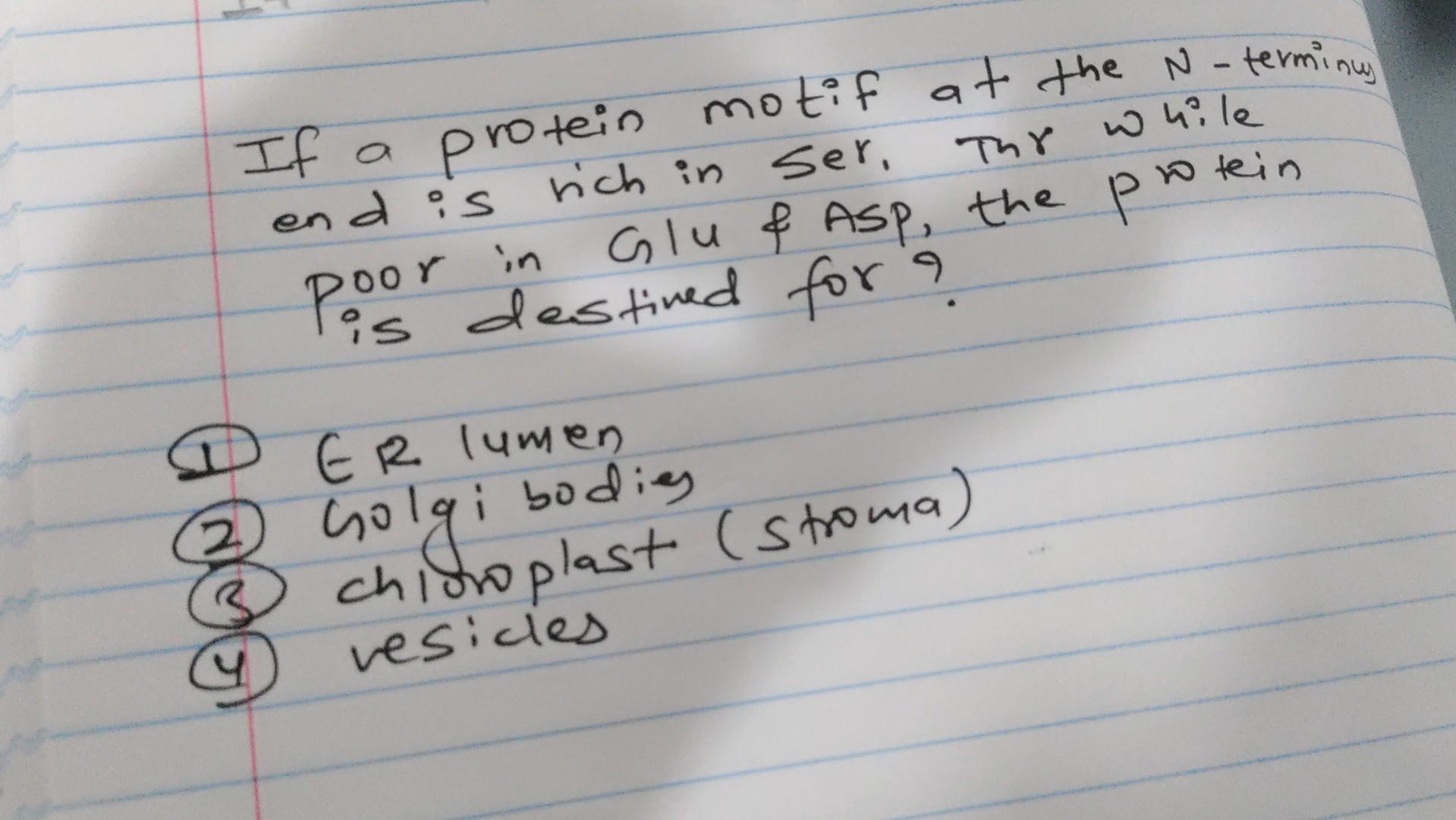 Solved If a protein motif at the N-terminus end is rich in | Chegg.com