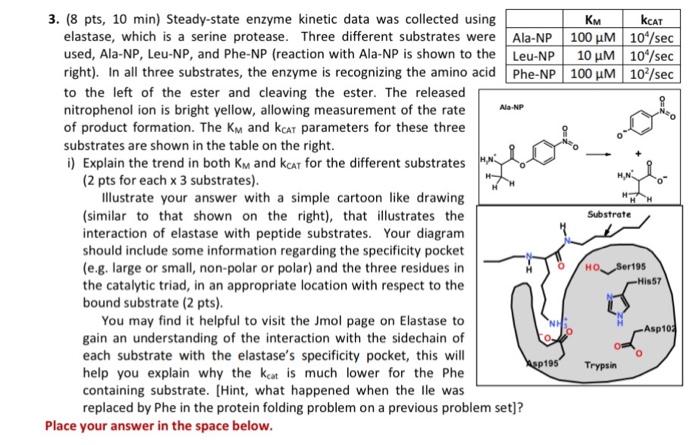 Solved 3. (8 pts, 10 min ) Steady-state enzyme kinetic data | Chegg.com