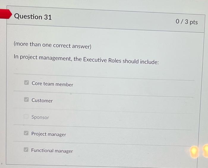 Solved In project management, the Executive Roles should | Chegg.com