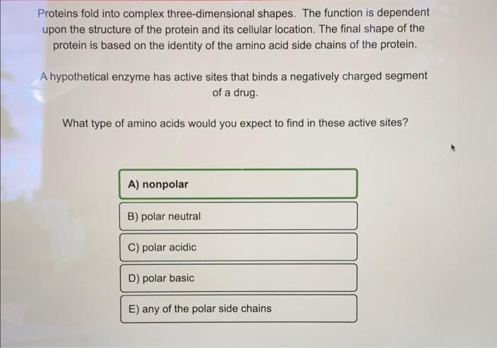 Solved Proteins fold into complex three-dimensional shapes. | Chegg.com