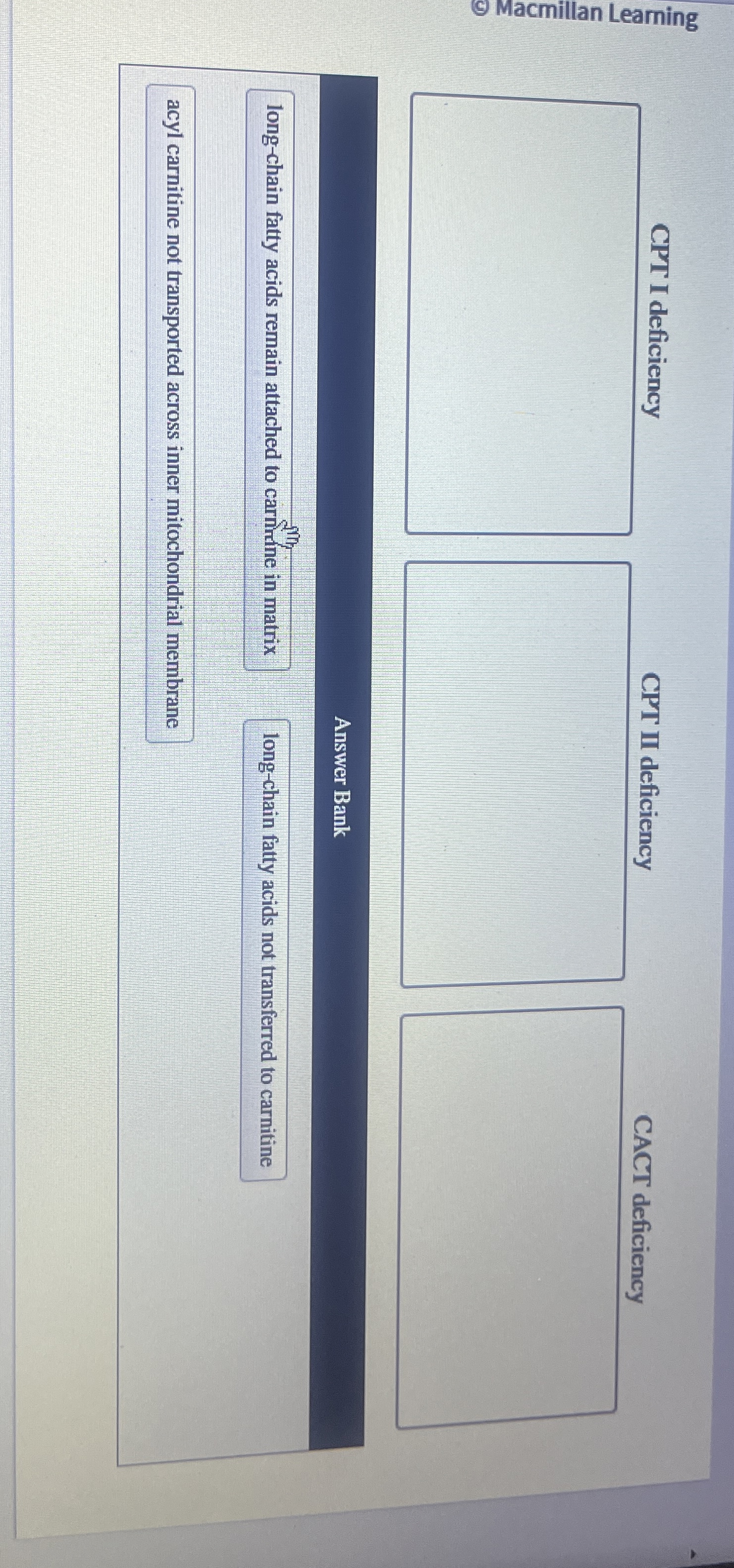 High Quality SOLUTION CACT deficiencyAnswer Banklong-chain fatty acids ...