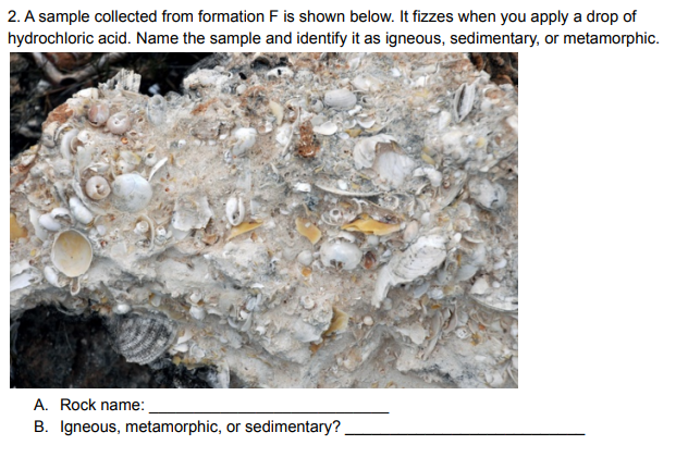 Solved A sample collected from formation F ﻿is shown below. | Chegg.com