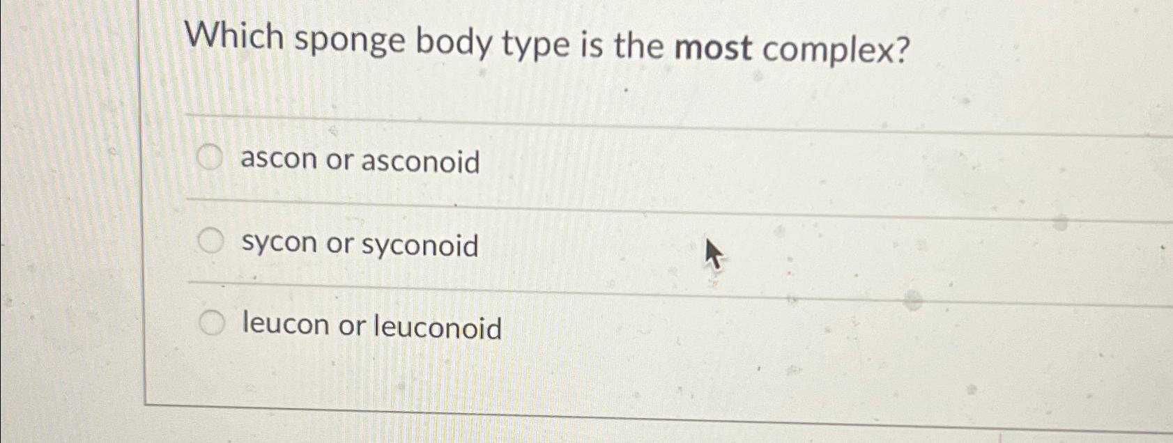 Solved Which sponge body type is the most complex?ascon or | Chegg.com