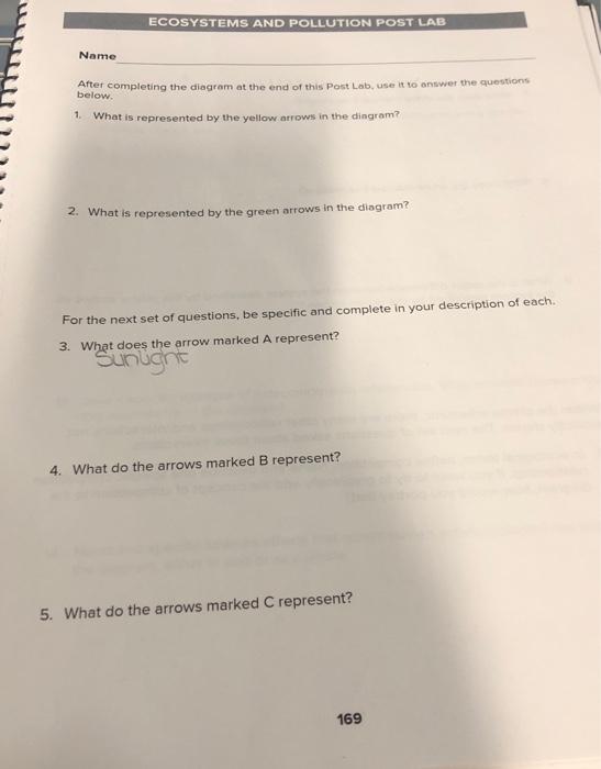 ECOSYSTEMS AND POLLUTION POST LAB Name After | Chegg.com