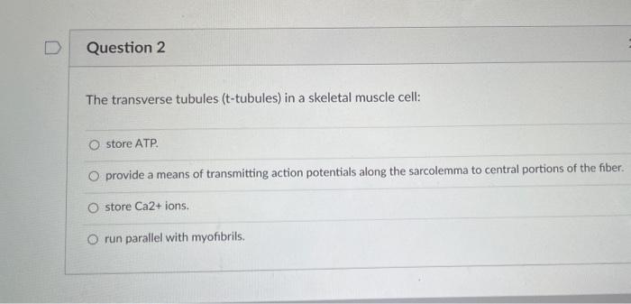 Solved The transverse tubules (t-tubules) in a skeletal | Chegg.com